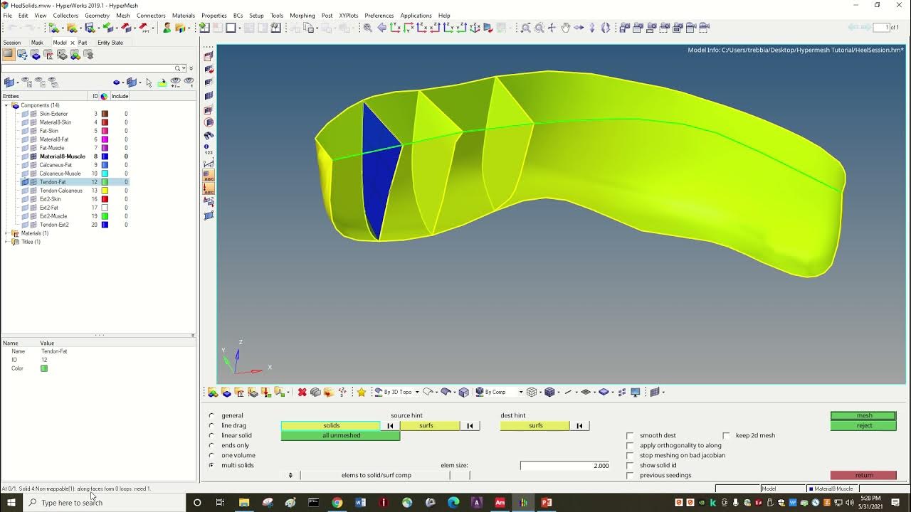 4 Hypermesh for biomechanical applications: Hexa meshing - YouTube