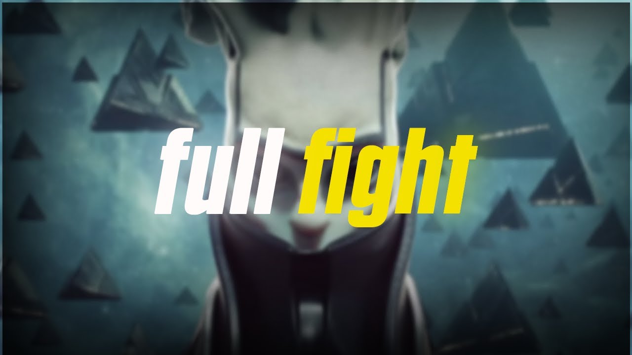 The Witness: Full fight (Destiny 2) - YouTube