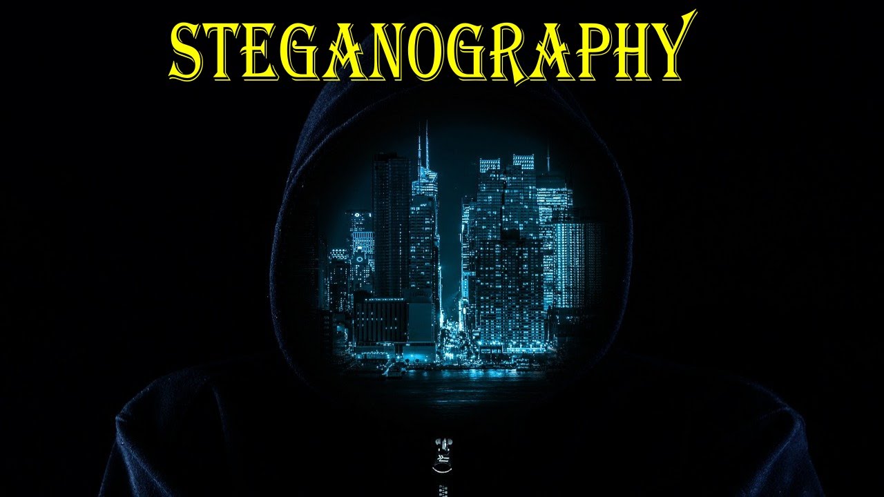 Hide A Text Message Inside An Image Steganography Using Html Css And Javascript Youtube