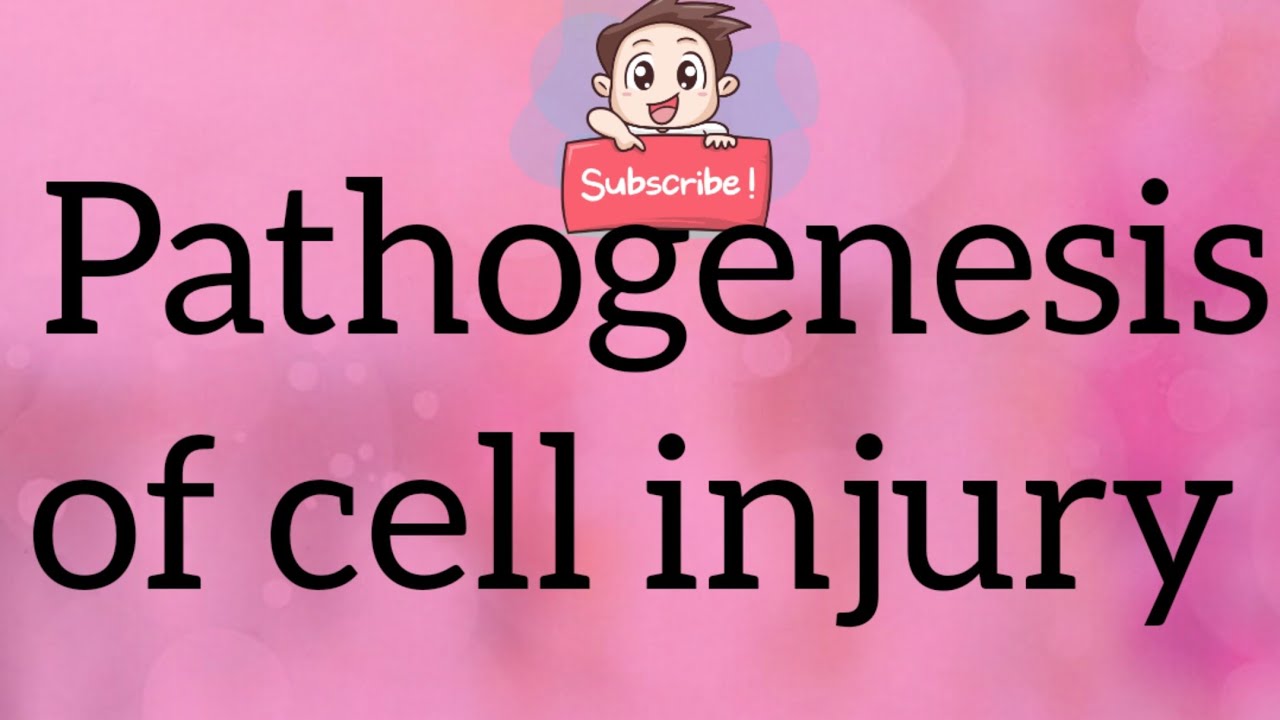 Pathogenesis of cell injury - YouTube