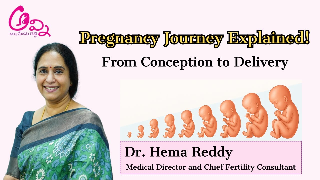 Pregnancy Explained from Start to Finish | Stages, Symptoms & Care Tips ...