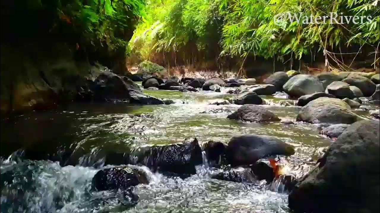 Relaxing River Sound Forest waterfalls are relaxing, relieve stress, help meditation, and Yoga ...