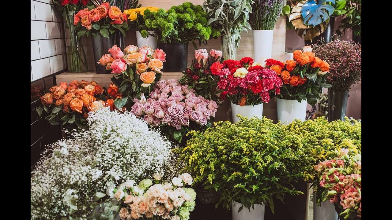 Arya Flowers - YouTube