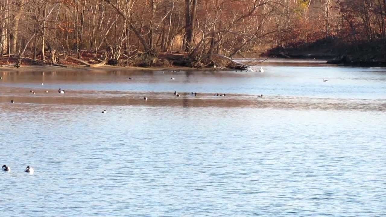 Rye Lake SX40 test - YouTube