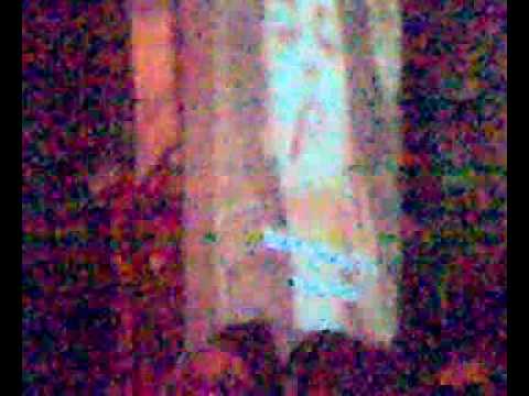 Durres(tu e kshyr Aci Hayat)