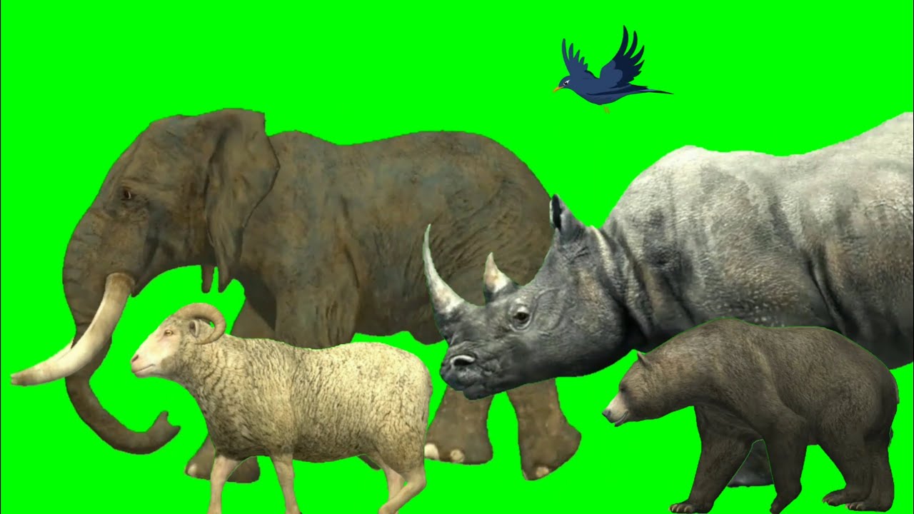Jumanji Stampede Green Screen - YouTube