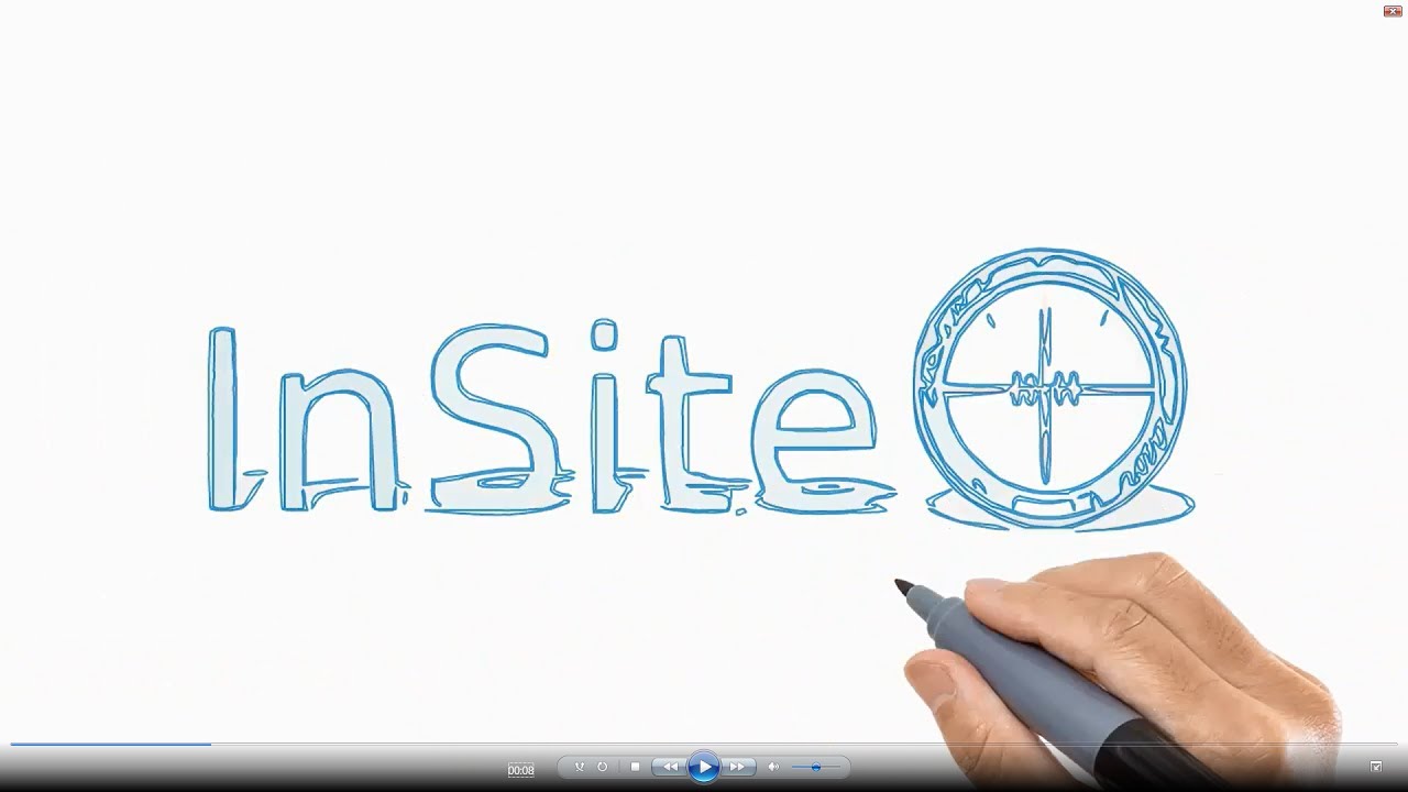 Understanding Website Insite – peerdh.com