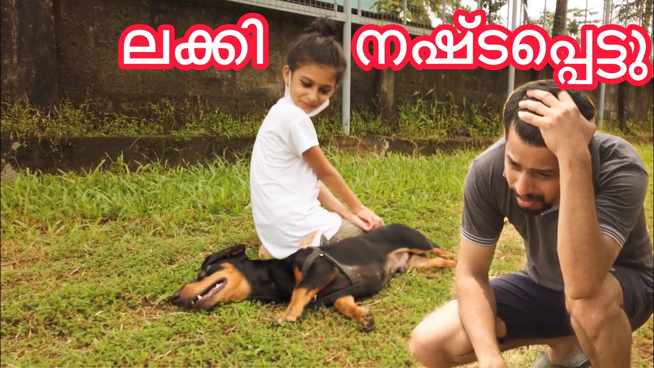 ലക്കി നഷ്ടപ്പെട്ടു | We Lost lucky star | Dog Web Series | Lucky Puppy ...