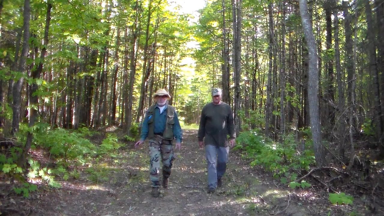 A Walk in the Woods with Wildlife Biologist Joe Wiley - YouTube