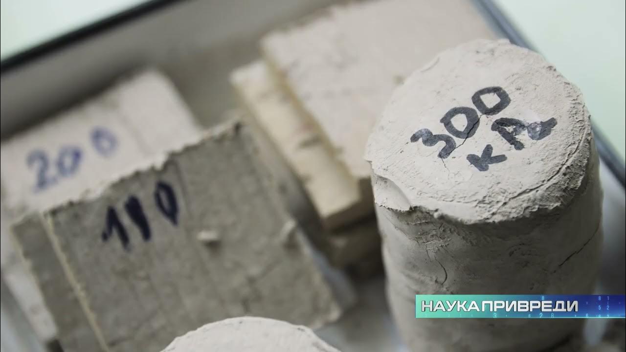 Nauka Privredi S08E38 - YouTube