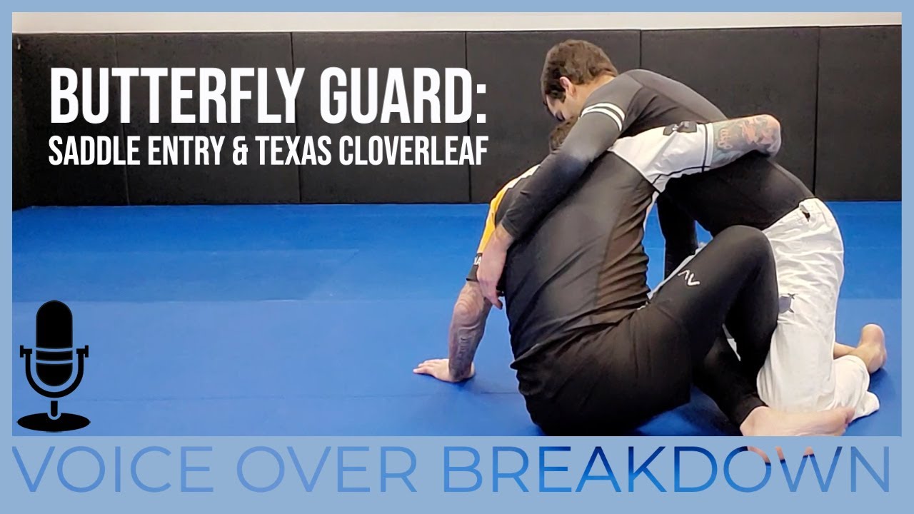 How To Use Butterfly Guard To Enter the Saddle + Texas Cloverleaf ...