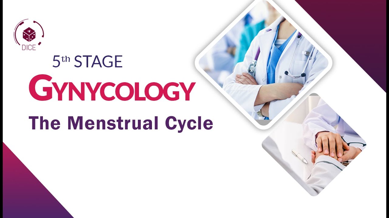 gynecology | The Menstrual Cycle - YouTube