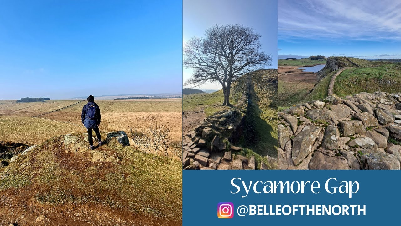 Exploring Sycamore Gap | Robin Hoods Tree | 4 mile circular walk from ...