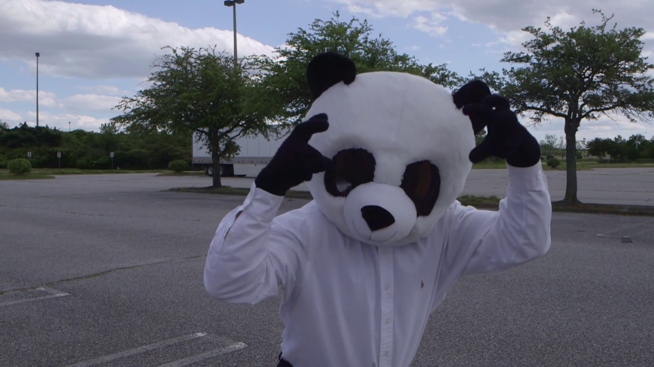 Panda Rant - Sweden got it right: Herd Immunity - YouTube