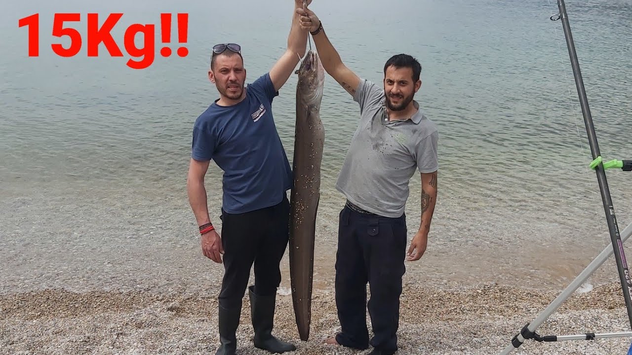 ΤΟ ΤΕΡΑΣ ΤΩΝ 15 ΚΙΛΩΝ!! 🦈🦈 ΕΝΑ ΤΕΛΕΙΟ ΨΑΡΕΜΑ! - YouTube