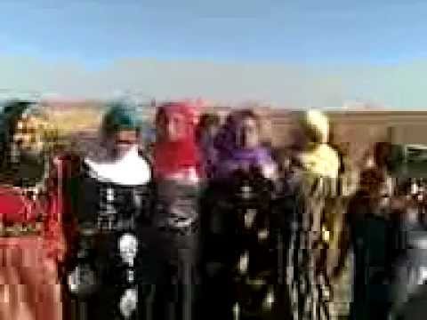 çınarlı şakır.3gp
