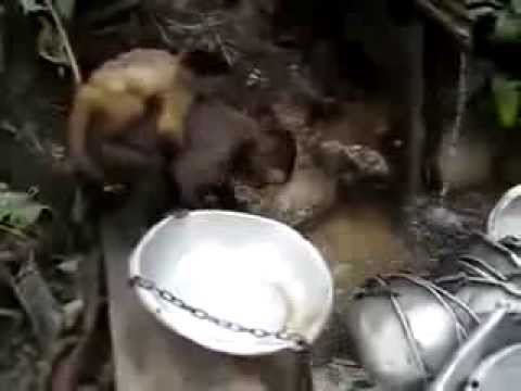 Kadın dediğin böyle olmalı! A woman must be like this!