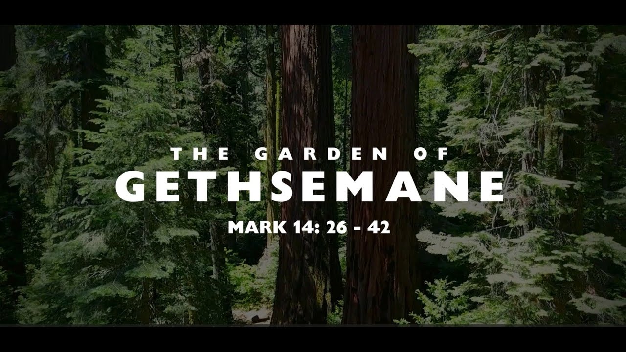 Day 3 The Garden of Gethsemane - YouTube