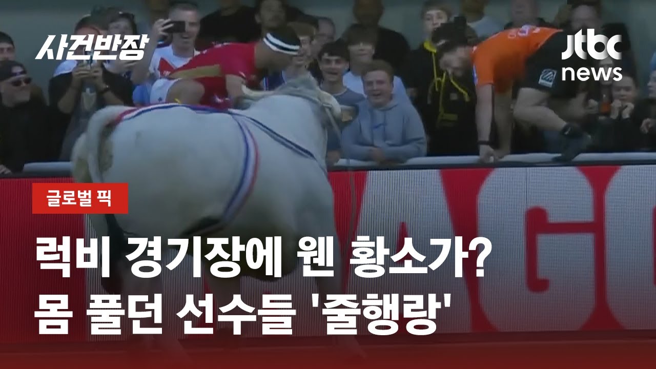 경기장에 등장한 성난 황소…럭비 시합 전 대혼란 Jtbc 사건반장 Youtube