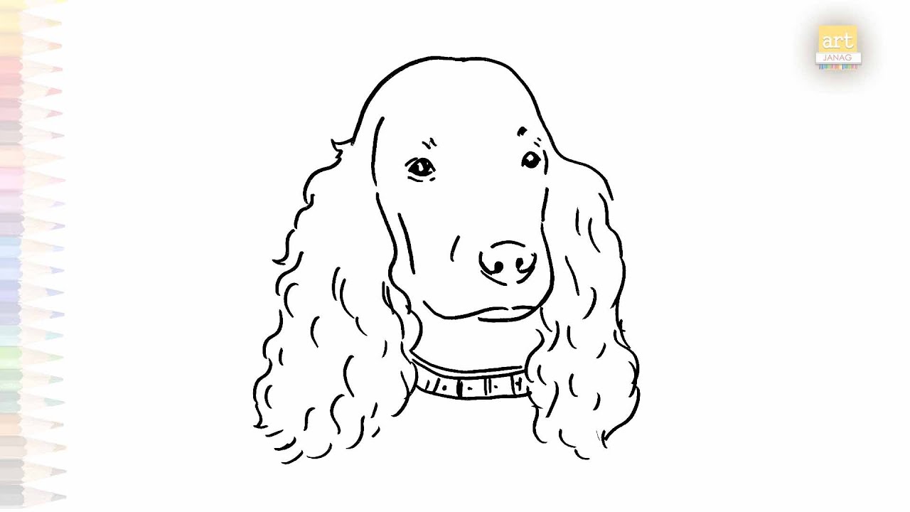 Cocker Spaniel dog head drawing easy | Art tutorial | How to draw ...