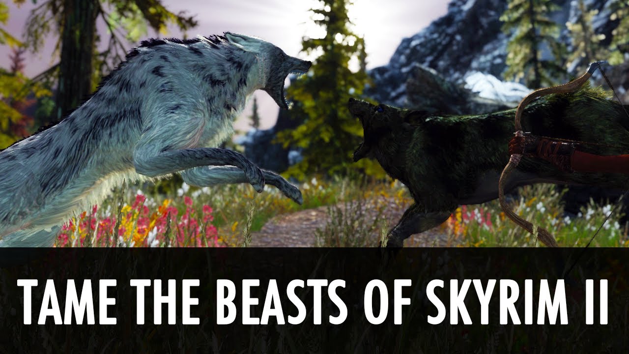 Skyrim Mod: Tame the Beasts of Skyrim II - YouTube