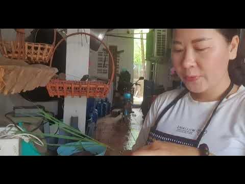 sawv ntxov los ci ntses rau peb noj tshais qab kawg - YouTube