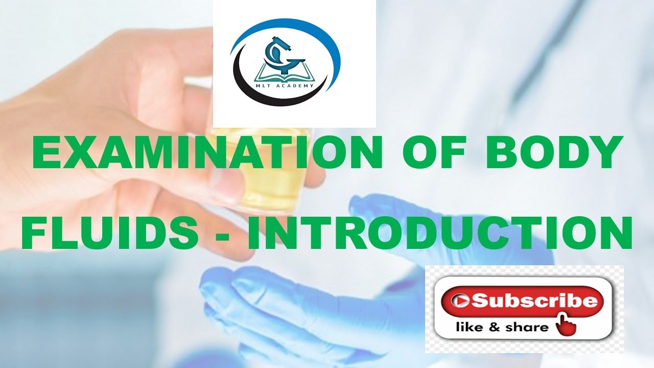 | EXAMINATION OF BODY FLUIDS - GENERAL INTRODUCTION | FOR MLT STUDENTS ...