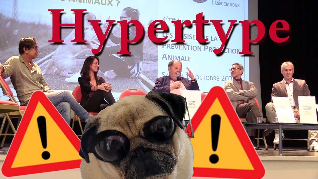 Dessine-moi un chien, un chat… l’Hypertype, une certaine maltraitance ? (Assises de la PPA 2023 ...