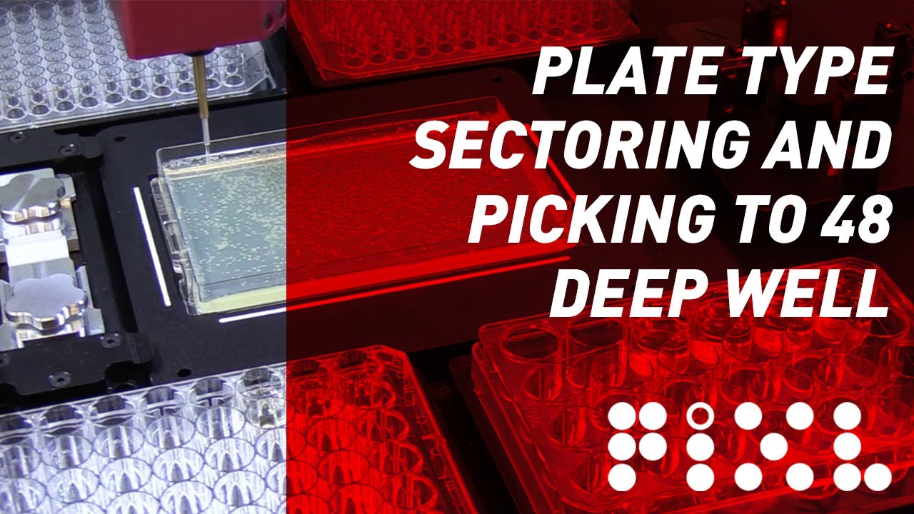 Plate Type Sectoring and Picking to a 48 Deep Well Plate - YouTube