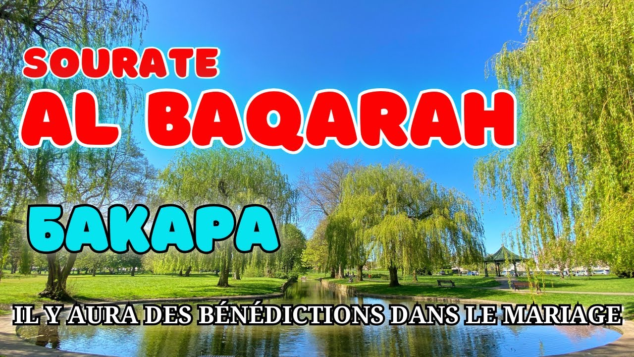 Surah Al Baqarah. Surja el Bekare - YouTube