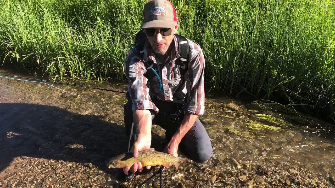 Willow Rods Small Stream Fishing - YouTube