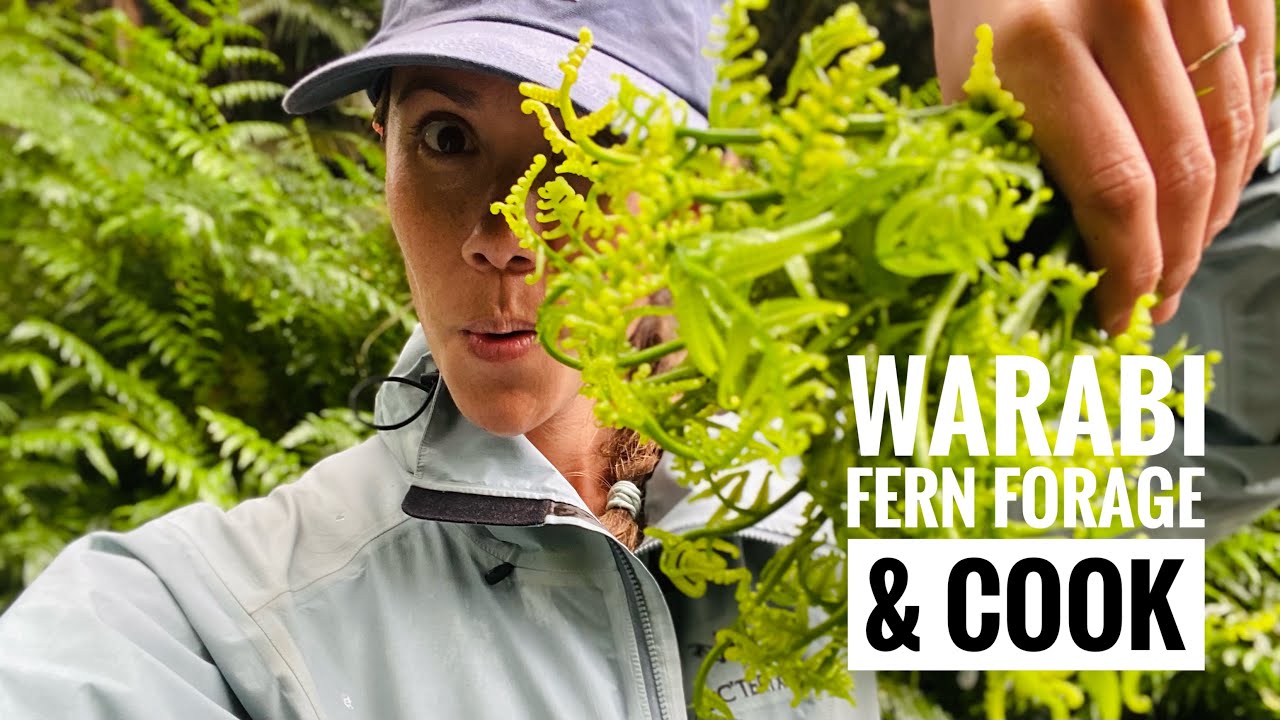 Warabi-Fern Forage and Cook on the Big Island of Hawaii. Mac Nut Pesto ...