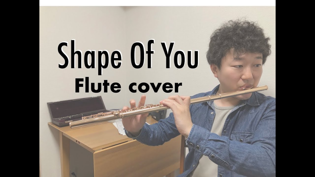 Ed Sheeran - Shape of You(Flute Cover) - YouTube