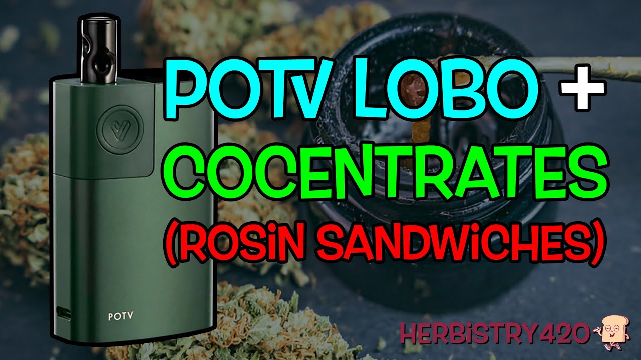 🚀 The Lobo + Concentrates = NEXT LEVEL HIGH! 🔥💨 (You Gotta Try This ...