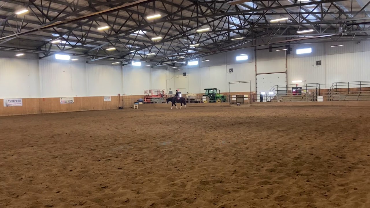 Team Canada Reining - YouTube