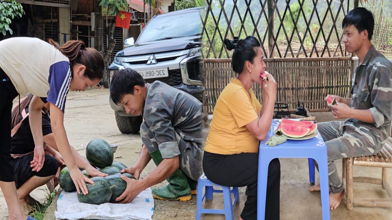 Summer Harvest Super Sweet Watermelons To Sell At The Market And Enjoy ...