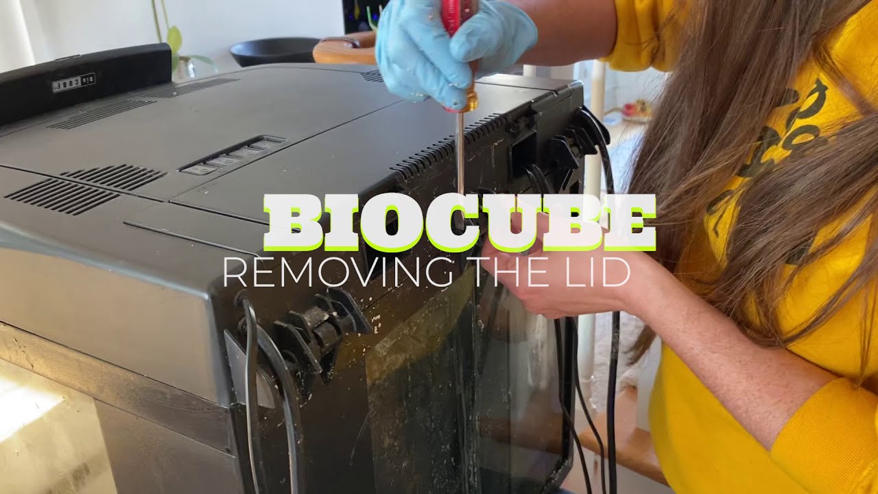 Removing the Lid from a biocube - YouTube