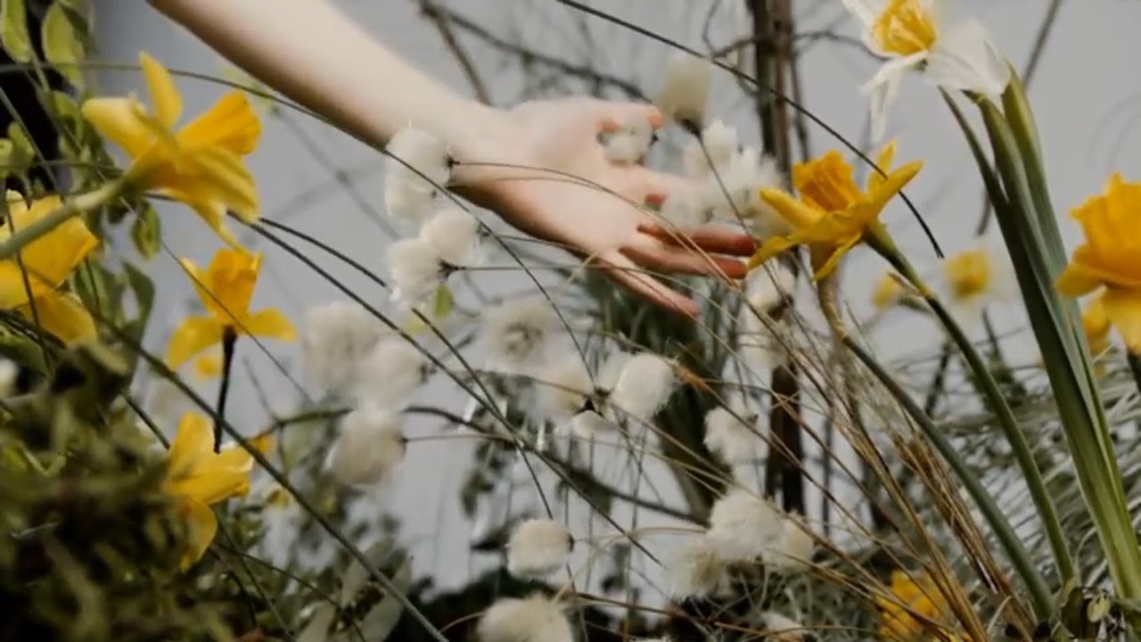 Beautiful Relaxing Flowers - Sleep Music #Relaxingmusic #Colors of ...