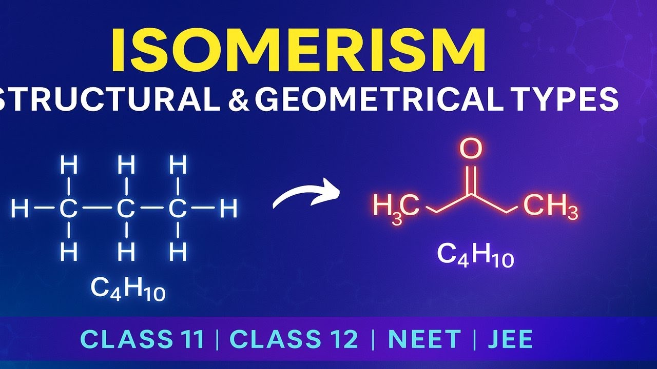 Isomerism in Organic Chemistry | Structural & Geometrical Explained ...