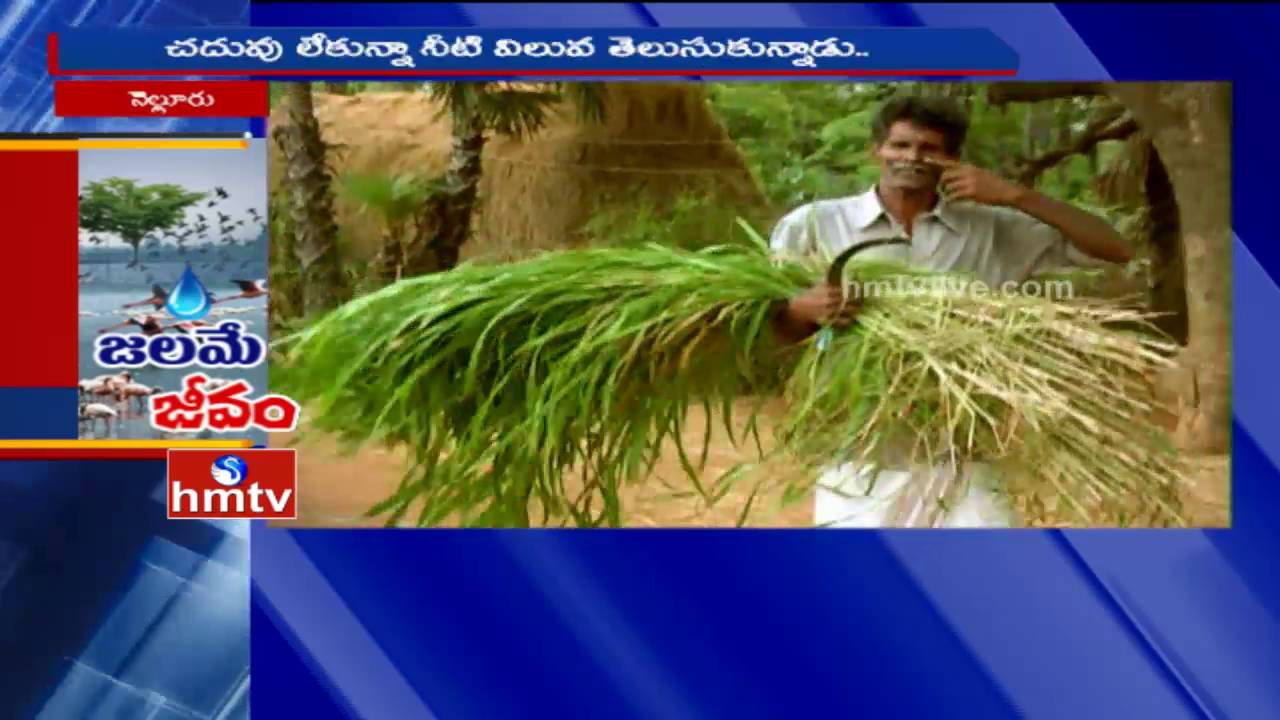 Ideal Farmer Ramalinga Reddy | Saving Water from Inkudu Gunta | Nellore ...