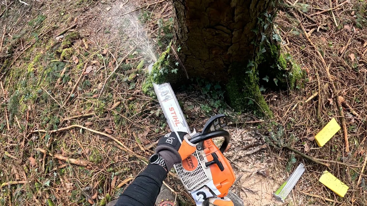 Felling and Log Processing Training UK | Part 1 - YouTube