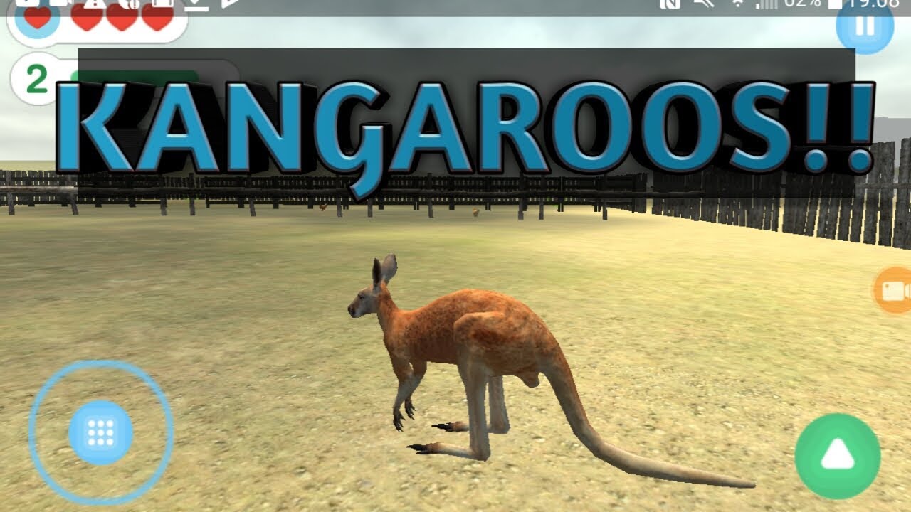 KANGAROO SIMULATOR! - YouTube