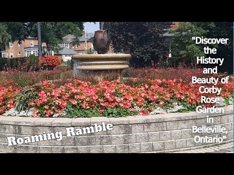 Discover the History and Beauty of Corby Rose Garden in Belleville ...