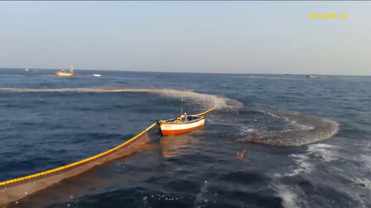 Amazing Big Fish Catching Vessel On The Sea, Big Catch Fishing Process ...