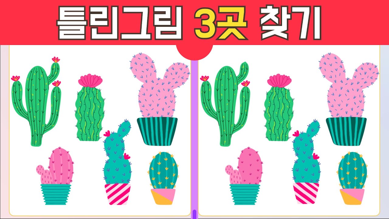 기억력 향상 프로젝트 다양한 선인장 틀린그림찾기 Find The 3 Differences 집중력 기억력 다른그림