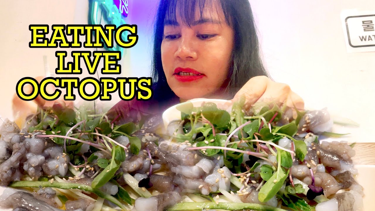 Live Octopus Eating only in Seoul #exoticfood - YouTube