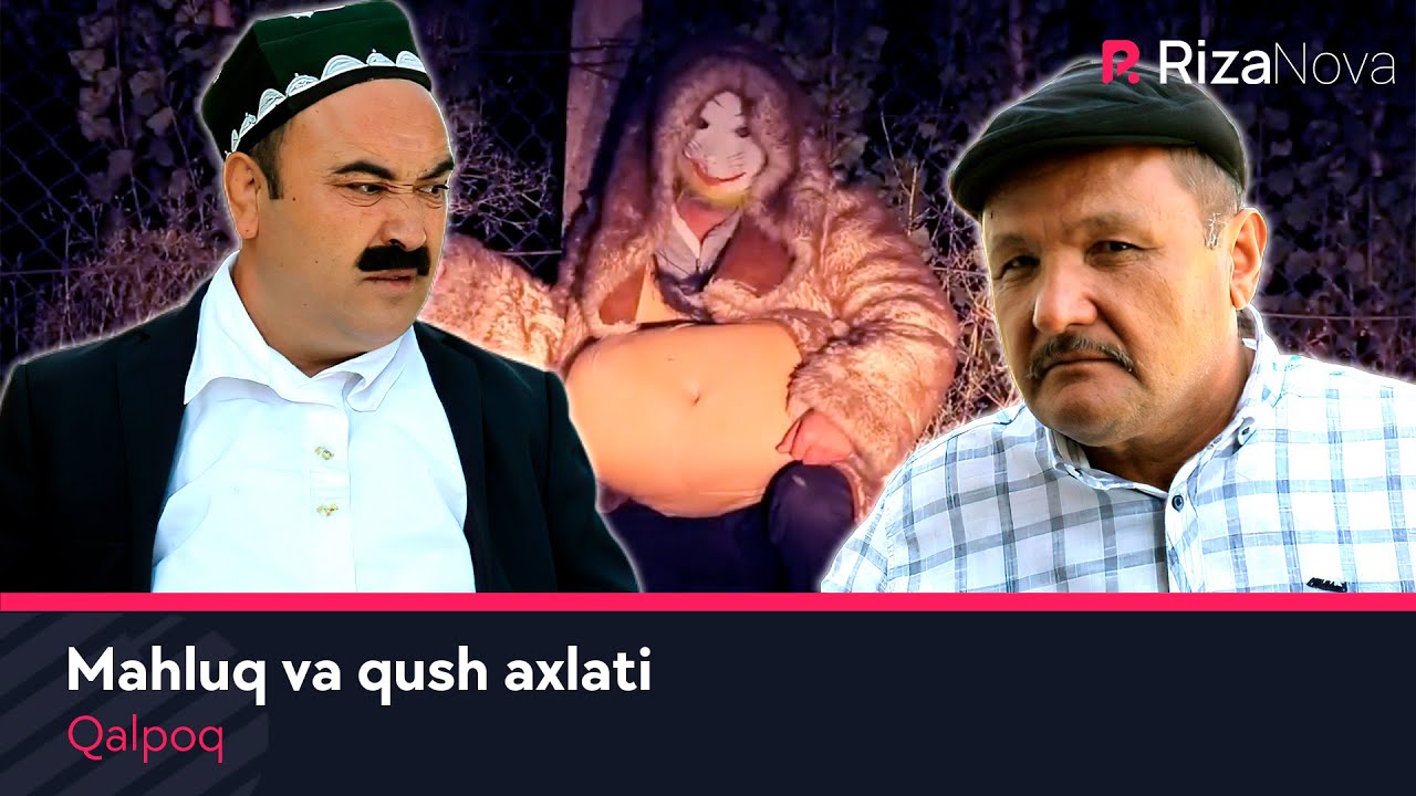 Qalpoq - Mahluq va qush axlati | Калпок - Махлук ва куш ахлати (hajviy ...