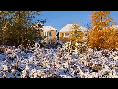 First Snow Flurries of the Season in Toronto suburb Canada 4k - YouTube