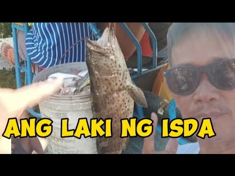 ANG LAKI NG ISDA SIGAPO - YouTube