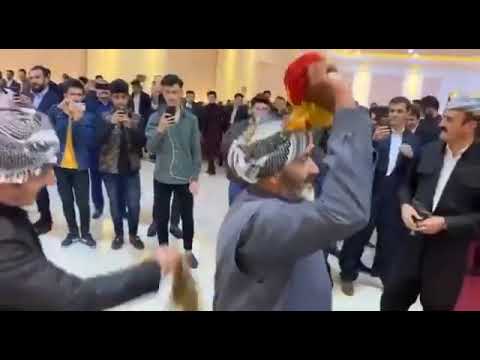 Kurdish Dance #110